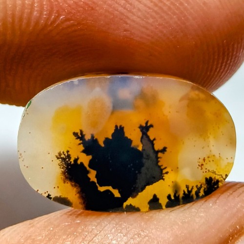 4.60 Cts Natural Shazar Dendritic Agate Cabochon Gemstone 16.1x10x2.7 ...