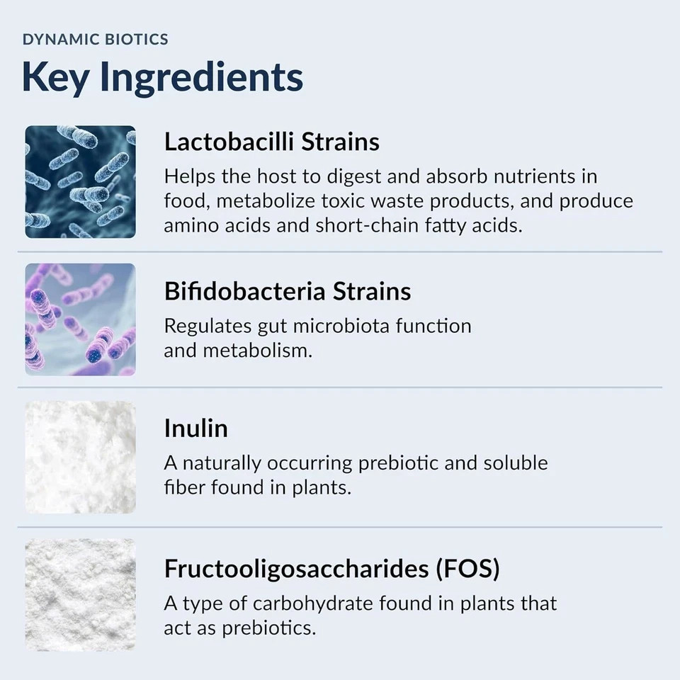 Dynamic BIOTICS Stonehenge Probiotic Immune Support Digestive IBS Gut ...