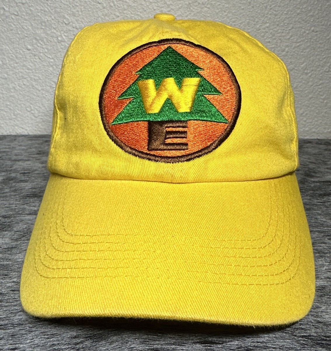 Up Russell Wilderness Explorer Up Disney Pixar Up Russell And Dug