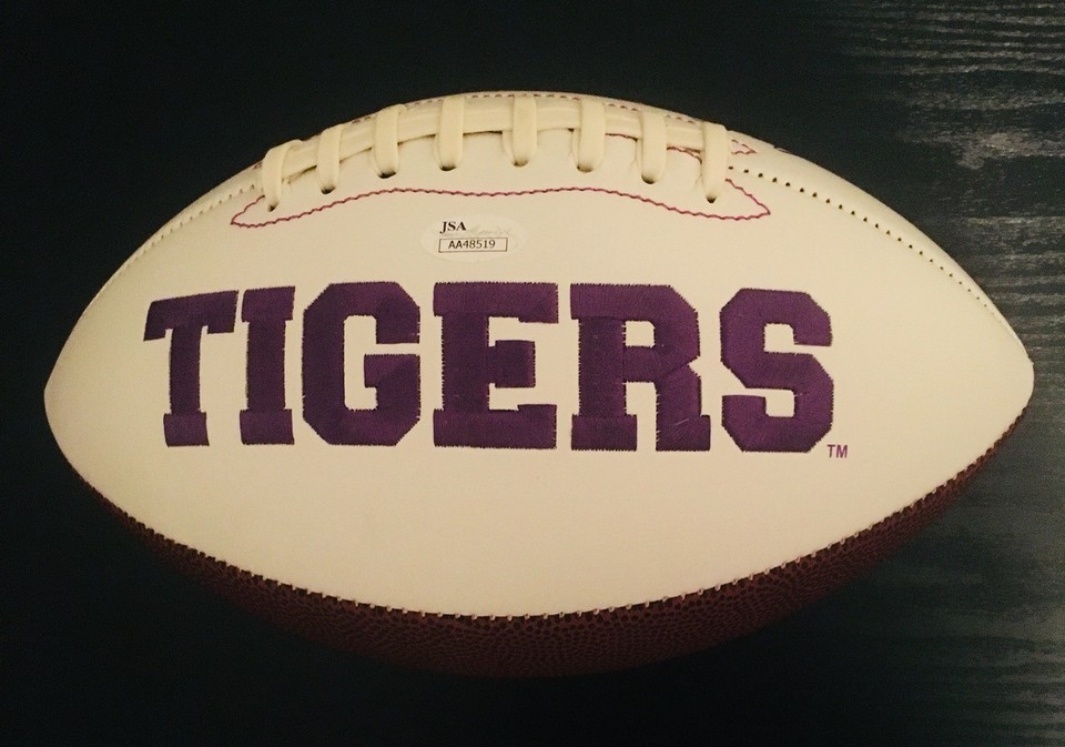 Kelly Bryant Autographed Clemson Tigers Logo Football/ JSA | eBay