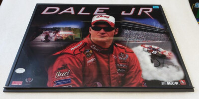 STERN DALE JR. Pinball Machine TRANSLITE & GLASS in frame #7641 | eBay