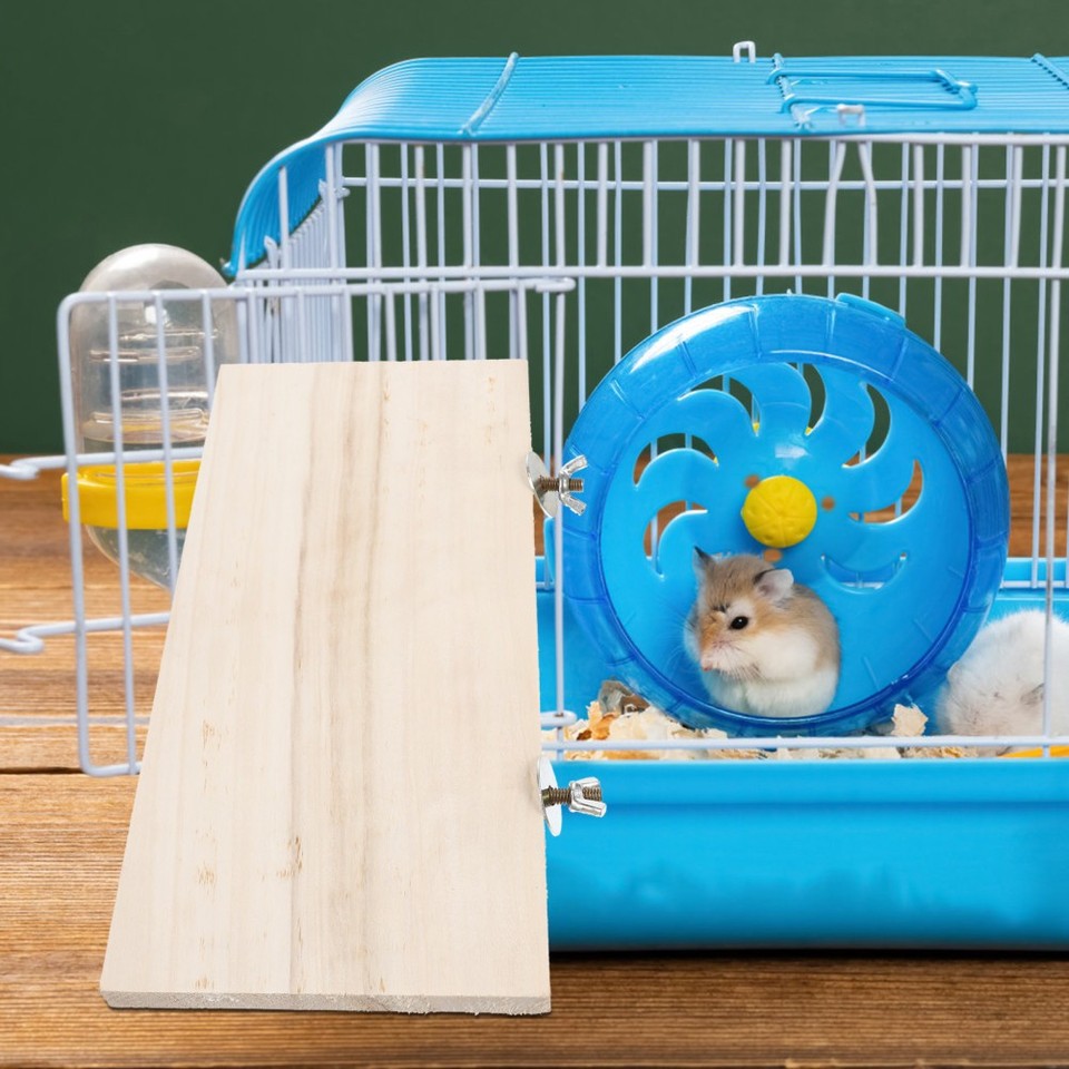 Syrian Hamster Board Wood Small Pet Toy Hamster Jumping Board Hamster ...