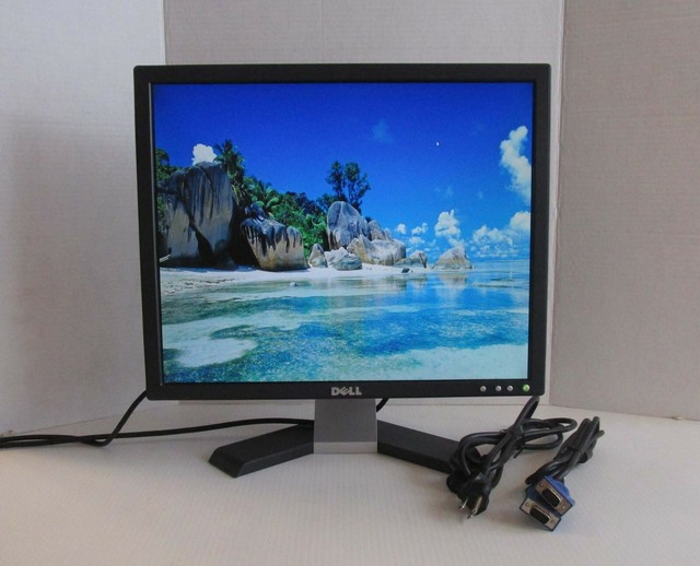 Dell E196FP LCD Monitor for sale online | eBay