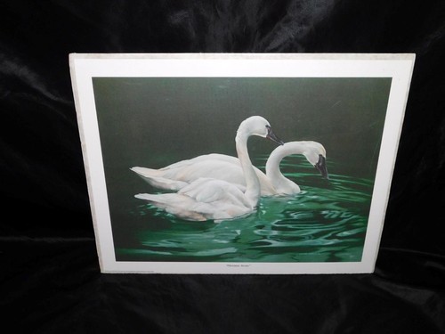 Annette Hartzell Christmas Swans Trumpeter Pair Alaska Art Print Signed ...