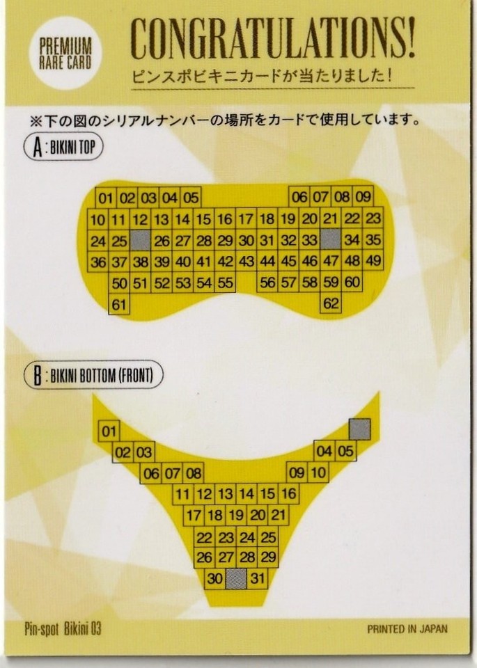 Limited To 31 Pieces Kei Fubuki Evolution 30/31 Pinspo Bikini Card 03 ...
