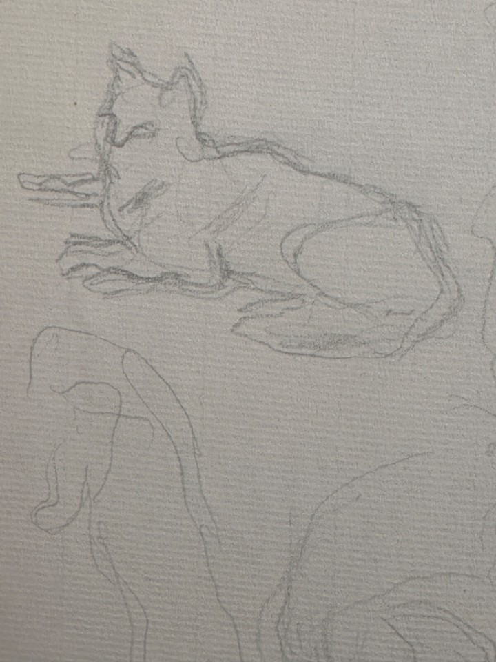 Dessin Jean Terles Curisosa portrait de femme dénudé de dos chat étude ...