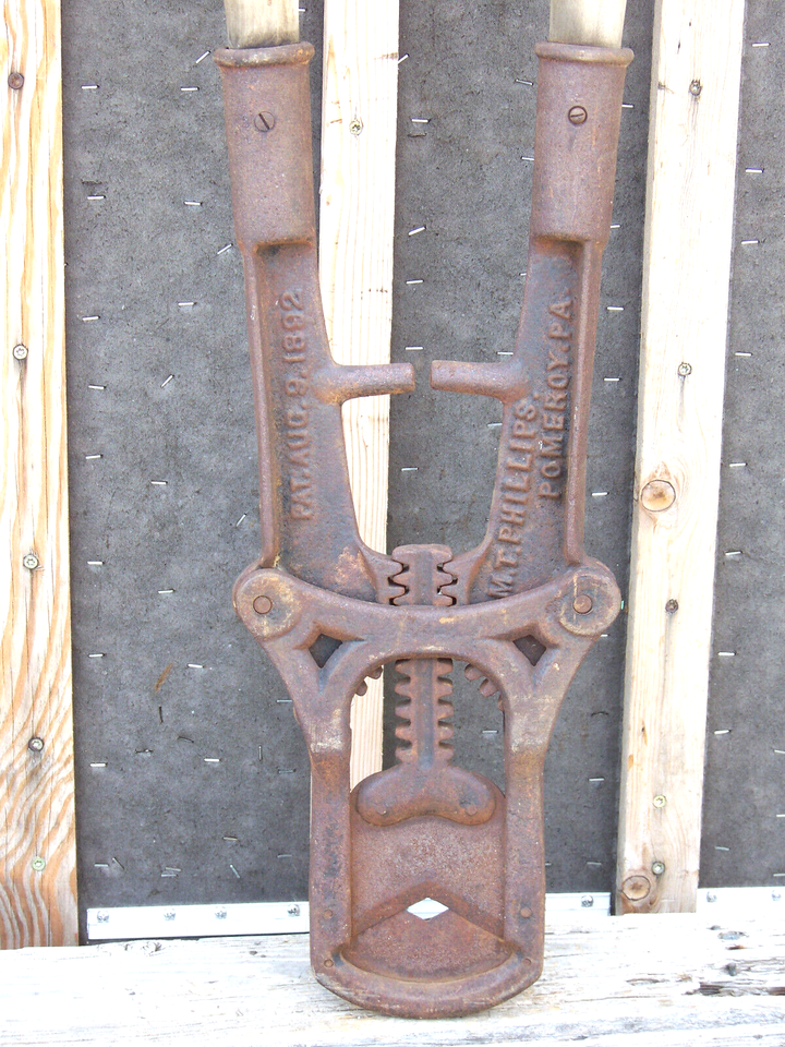 Vintage 1892 Dehorning Clipper Bull Horn Cutter 46" Cattle Dehorner ...