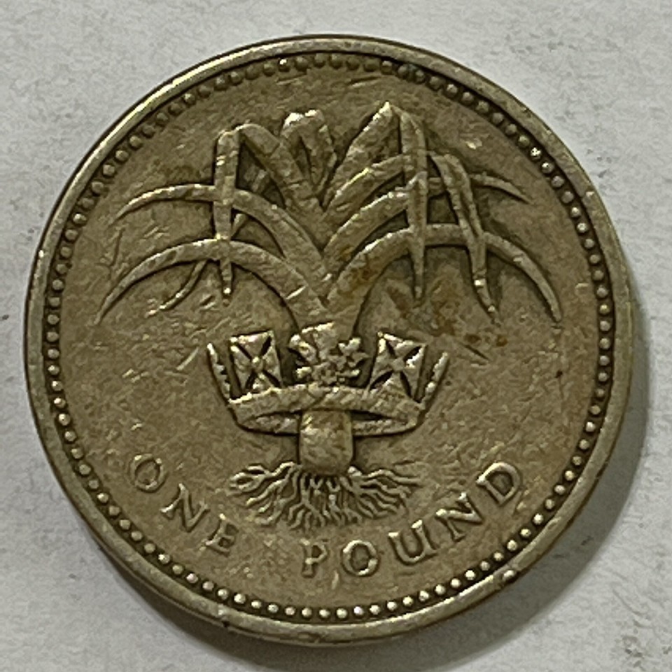 1985 ONE POUND THICK COIN SIDE INSCRIBED QUEEN ELIZABETH II QE2 ...