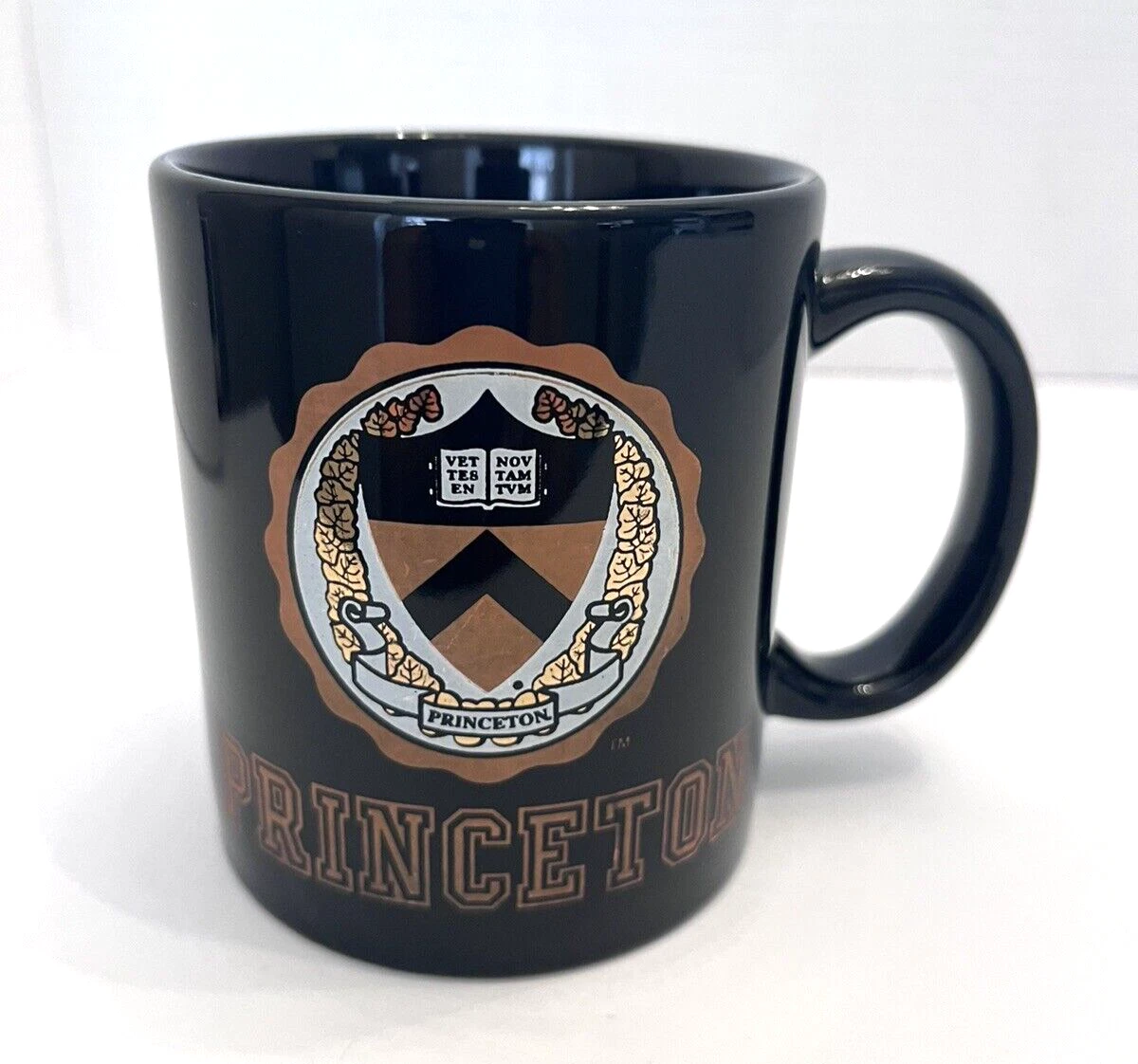 Princeton University Motto