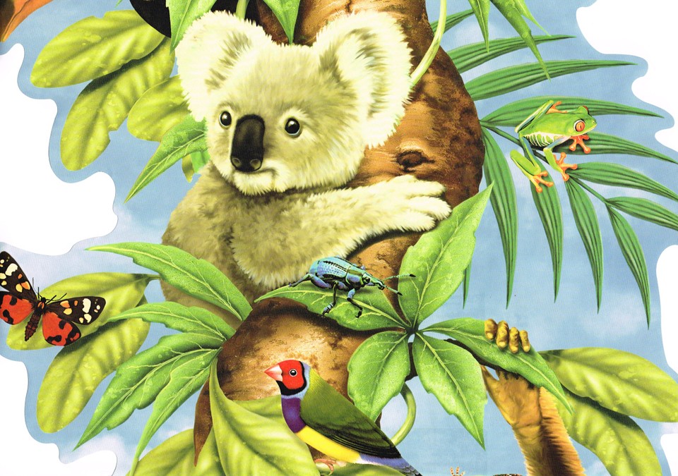 * JUNGLE MURAL BIRDS KOALA BEAR MONKEY LIZARDS FROGS 10 Ft Wallpaper ...