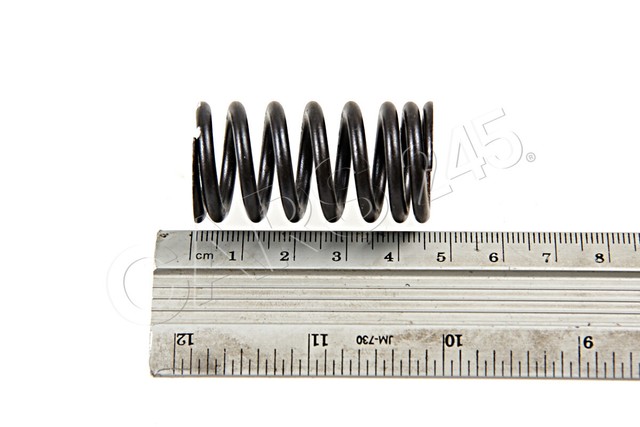 AUDI VW Valve Spring Inlet A3 Cabriolet 06E109623H Genuine for sale ...