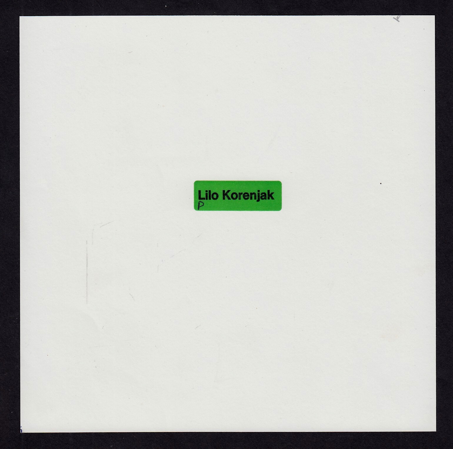 HÜBSCHE JUNGE FRAU HALBNACKT IM GARTEN Akt * 70s "L" LILO KORENJAK Vintage Photo | eBay