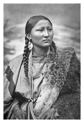 CHIEF PRETTY NOSE NATIVE AMERICAN WARRIOR BATTLE OF LITTLE BIGHORN 4X6 ...