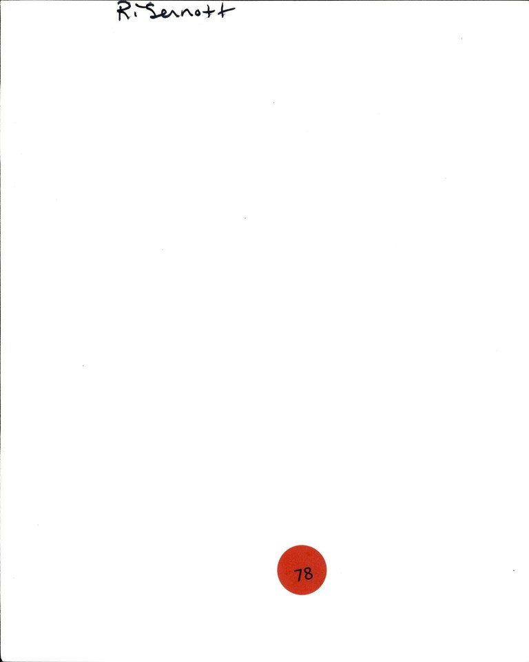 LD366 Original Richard Sennott Photo FAN RUNS ON FIELD MAYBE CARL ...