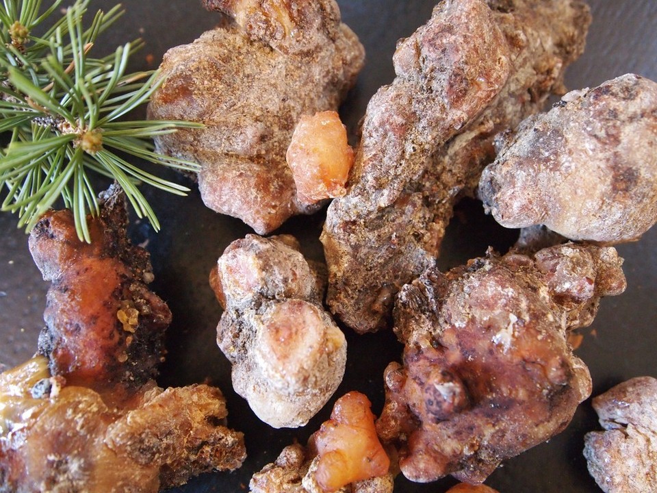 Pinon pinyon pinion pine resin sap pitch rosin different sizes | eBay