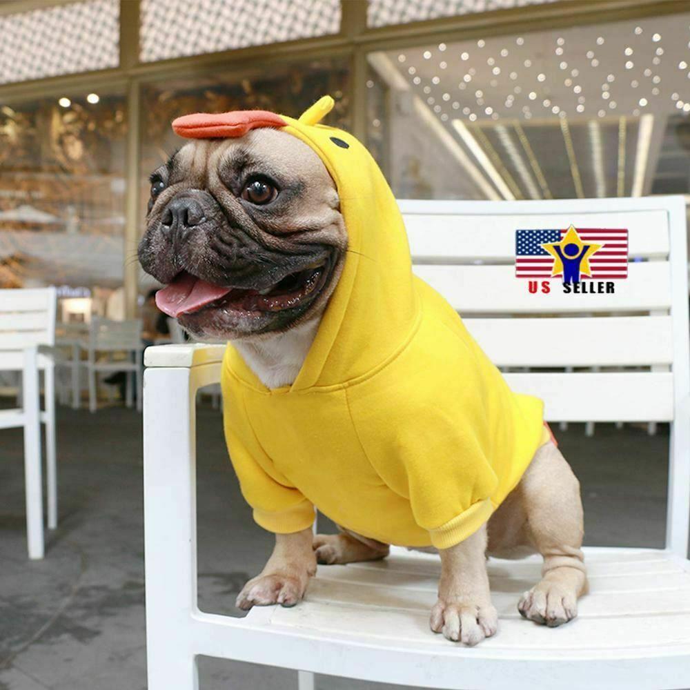 Yellow Duck Dog Costume Cozy Canines: A Beginner's Guide To