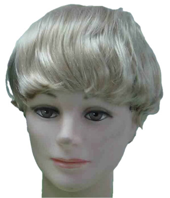 Barbie Blonde Ken Wig Surfers Wig Mens Costume Wig | eBay