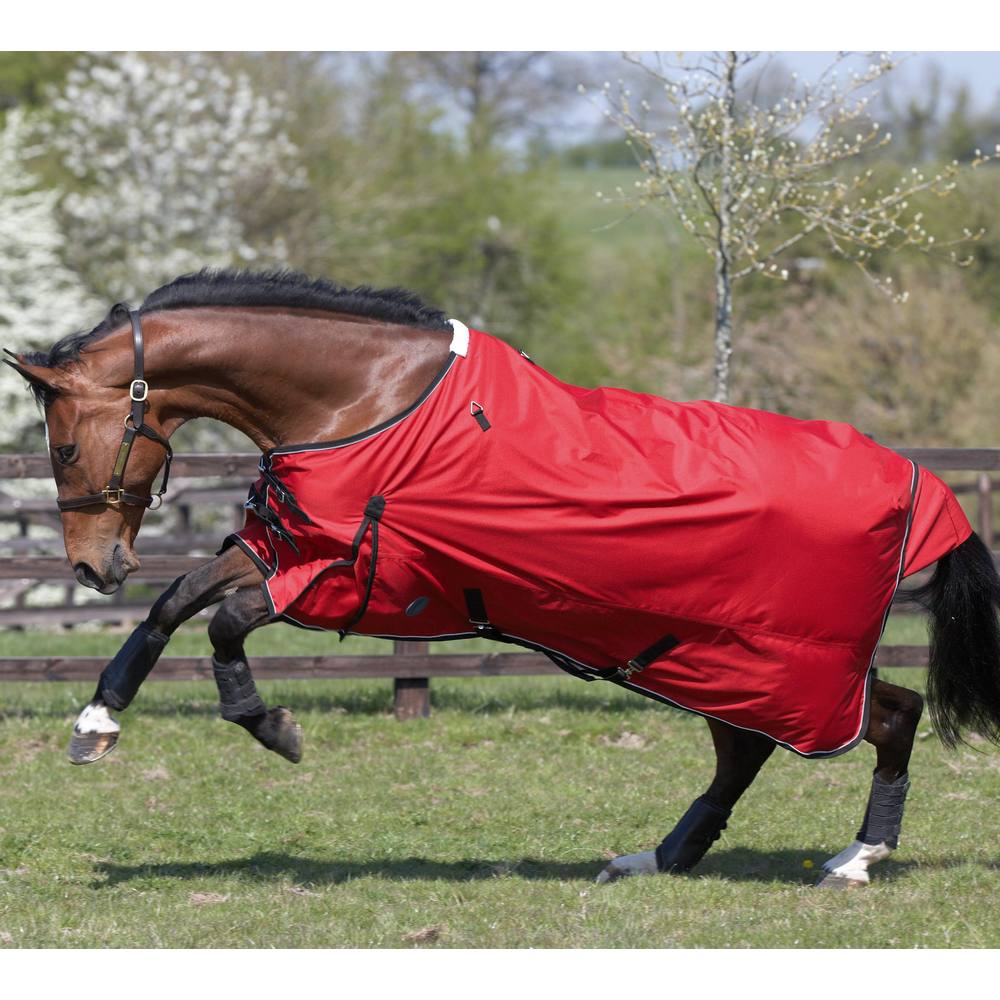 JHL LIGHTWEIGHT TURNOUT RUG STANDARD NECK LITE HORSE /PONY NO FILL ...