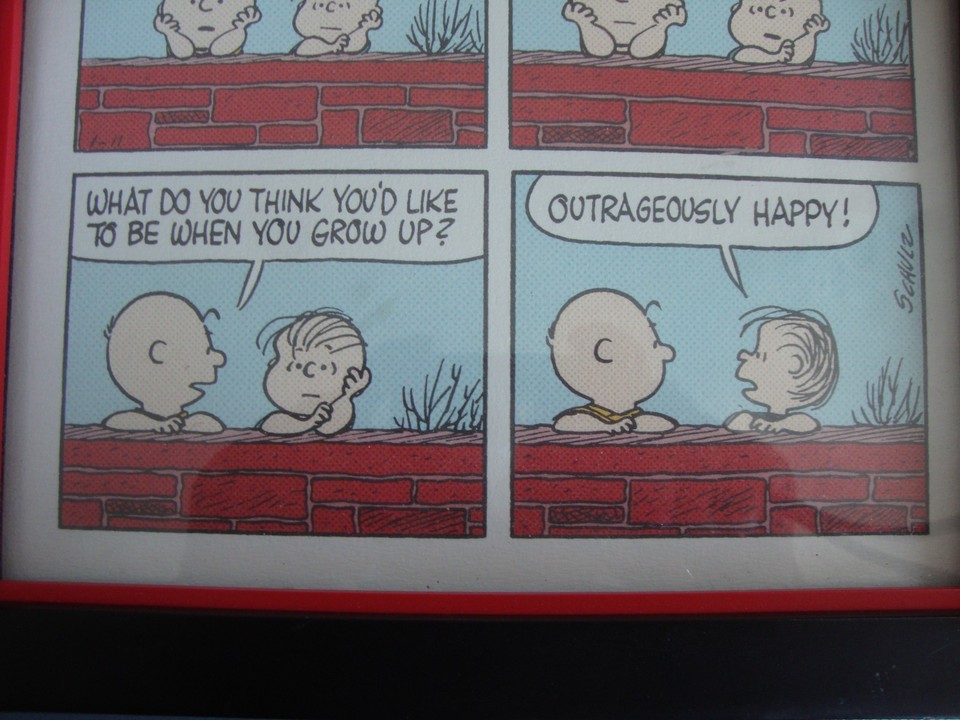Peanuts Hallmark Comic Strip Picture Charlie Brown & Linus Outrageously ...