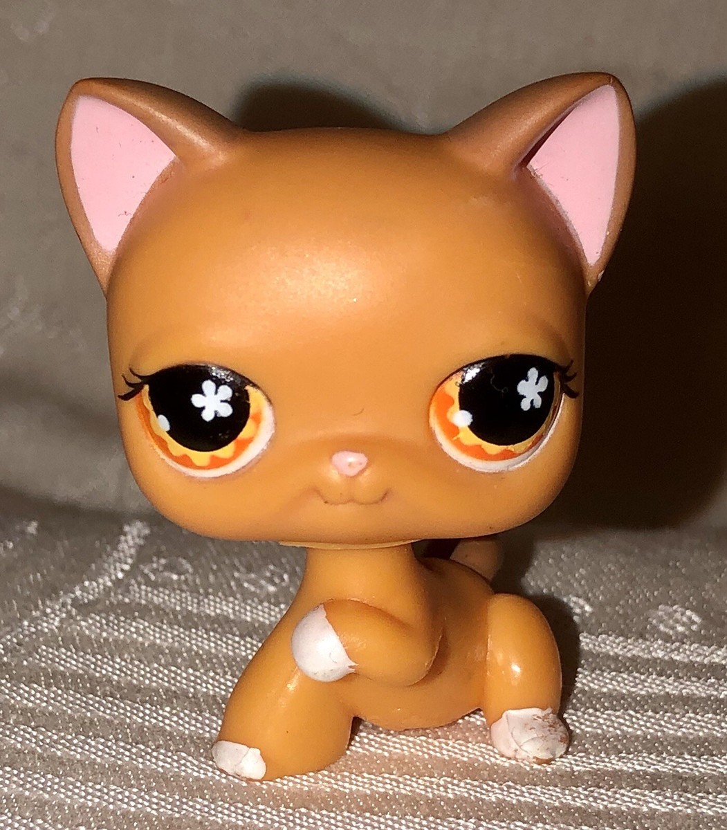 Littlest Pet Shop Cats Orange