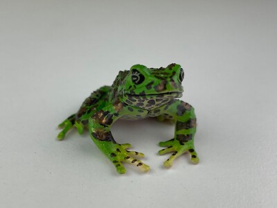 Kaiyodo Yujin Japanese Exclusive 'The Frogs in Color' Series Figure | eBay