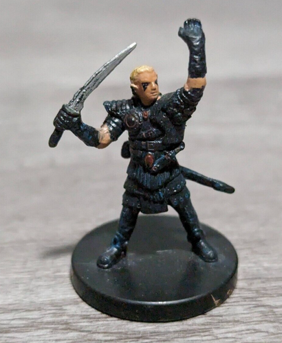 Half-Elf Hexblade 33 No Card Aberrations Dungeons & Dragons Miniature Rogue | eBay