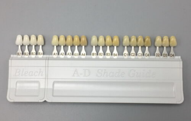 Dental Teeth A-D Shade Guide Porcelain Tooth 20 Color Tooth Bleached ...