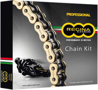 Regina Z-Ring Chain & Sprocket Kit with Front & Rear Sprockets 5ZRT ...