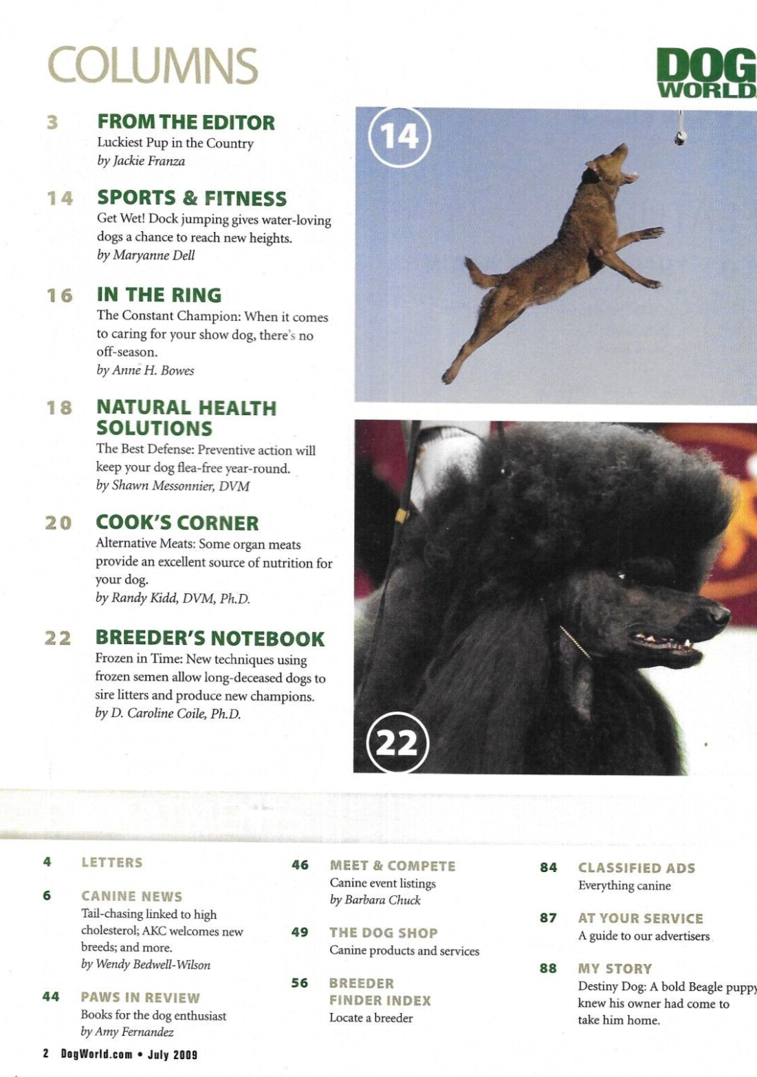 Dog World Magazine German Shorthaired Pointer Dock Jumping Lyme Disease ...