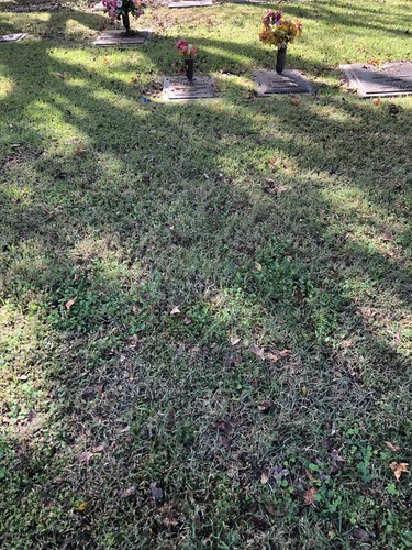 Lawn Crypt for Two (One over One) in Greenlawn Cemetery Jax, Fl Price ...