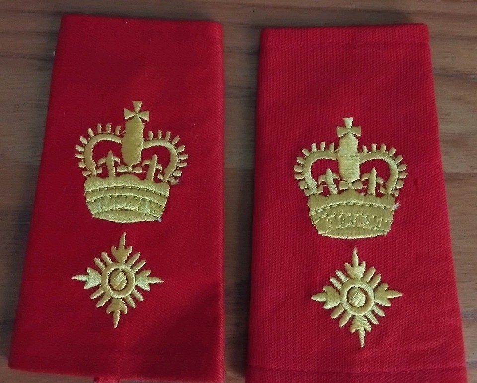 AIR AMBULANCE BASICS DOCTOR PARAMEDIC OFFICER CROWN PIP RANK SLIDES ...