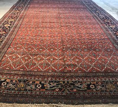 Extra Large (9x12 and larger) - Palace Size Rug