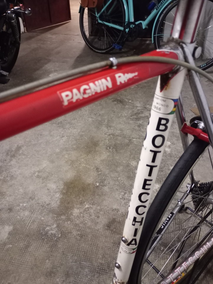 BOTTECCHIA MALVOR official racing bike by Roberto Pagnin Mavic Modolo ...
