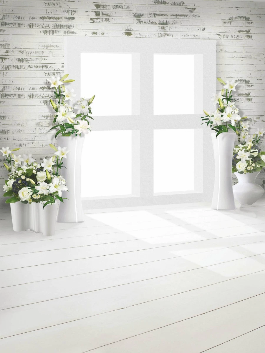 Photography Studio Backgrounds