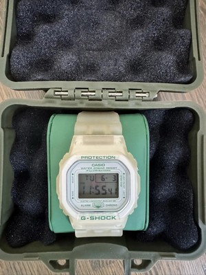 Casio x Hidden G-Shock DW5600 Limited Edition (Authentic) | eBay