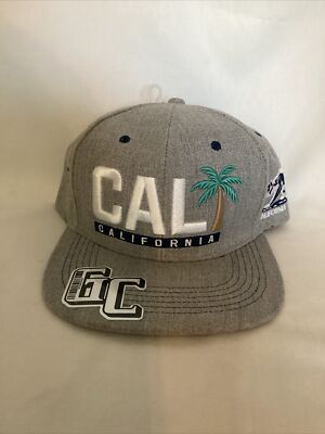 California SnapBack Hat - GREY WITH LOGO | eBay