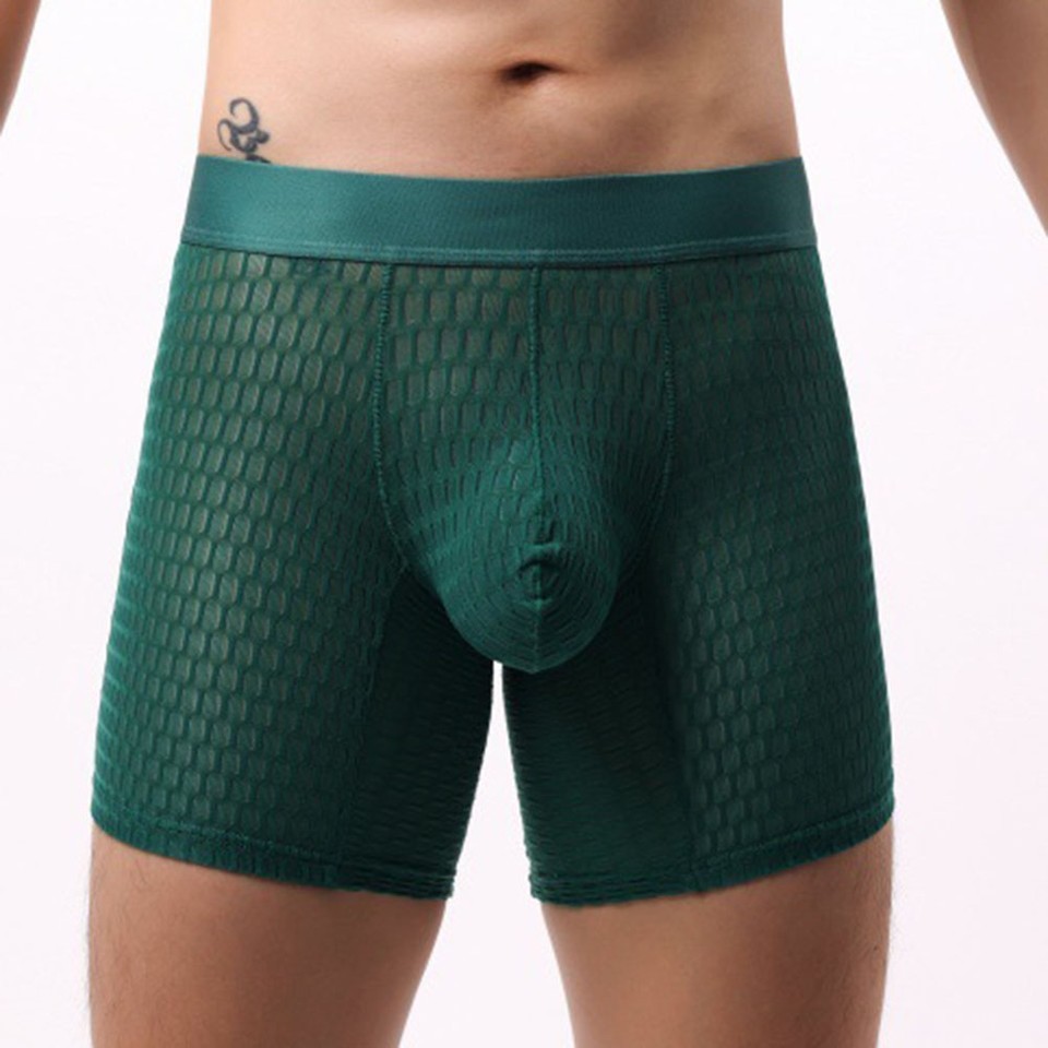 Mens Sheer Boxer Shorts with Lace Underwear Midrise Breathable Long ...