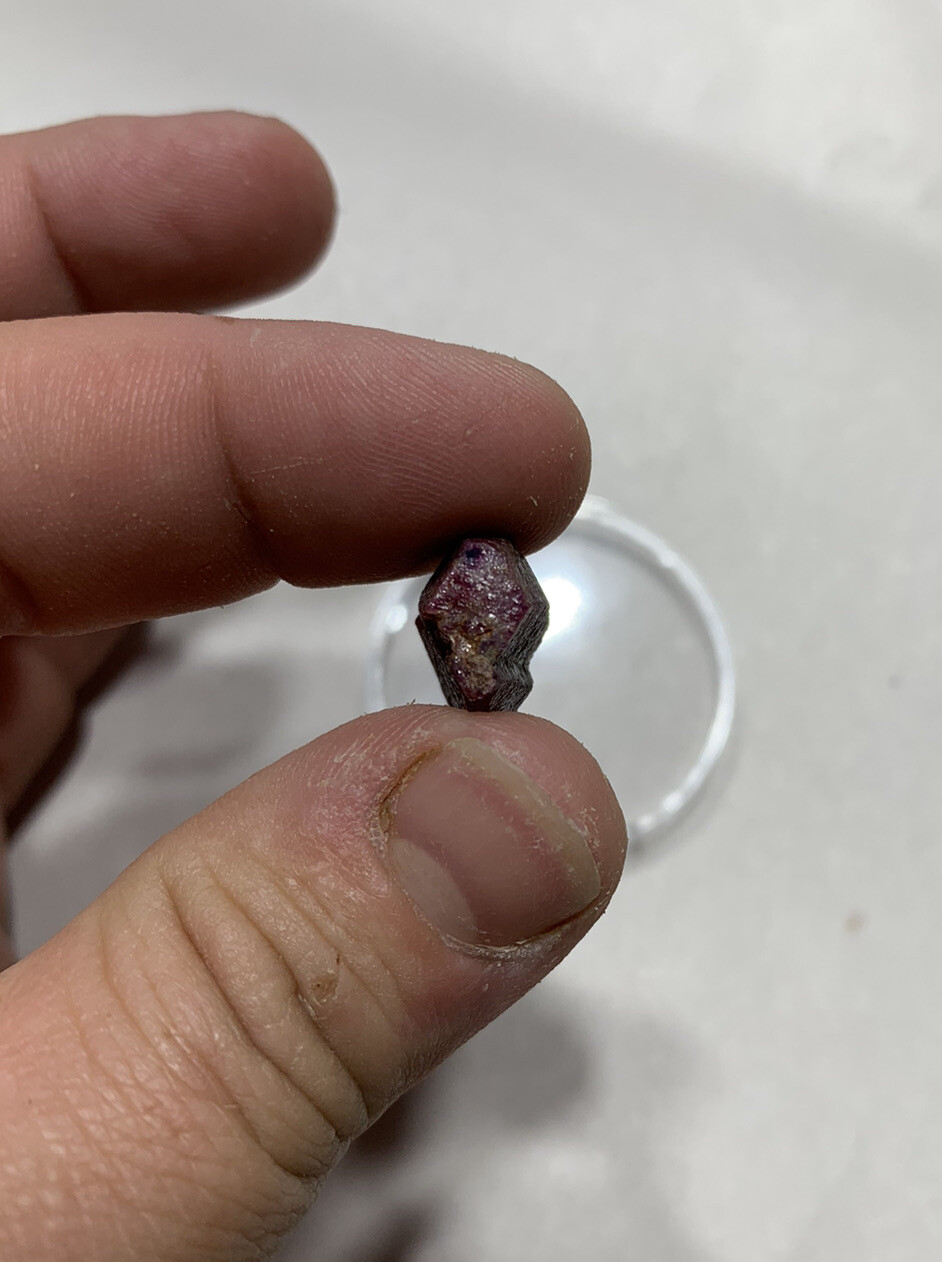 RARE Twinned Rat Tail Termination Ruby & Sapphire - Propst Farm’s North ...