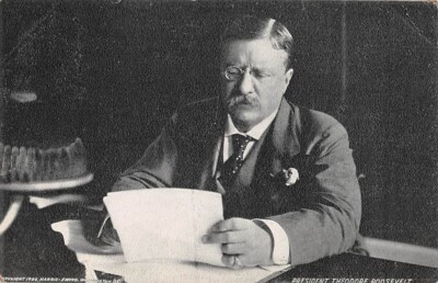 PRESIDENT TEDDY ROOSEVELT AT WORK INTERESTING MESSAGE HARRIS-EWING PUB ...