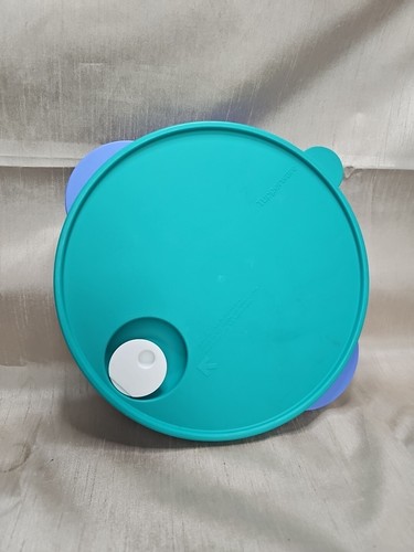 Vintage Tupperware #3284A Crystal Wave Divided Microwave Dish Vented w ...