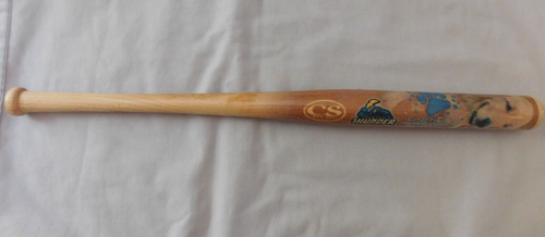 Trenton Thunder Fortifido 18'' Baseball Bat 2008 | eBay