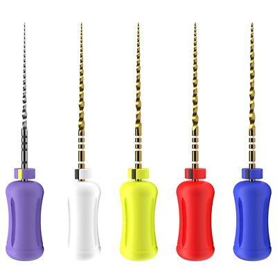 Dentsply Sirona A041802190112 ProTaper Hand Files Assorted 21mm 6/Pk ...