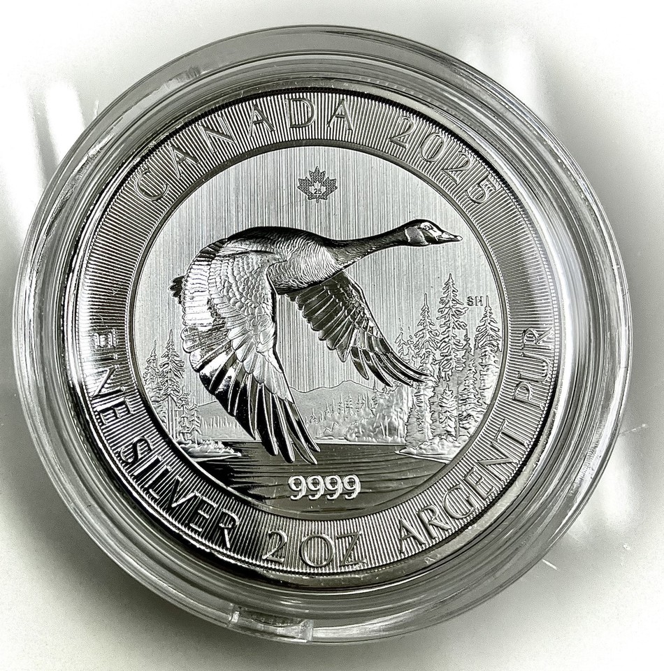 2025 Canada Goose 2 oz 0.9999 BU Silver Coin in capsule | eBay