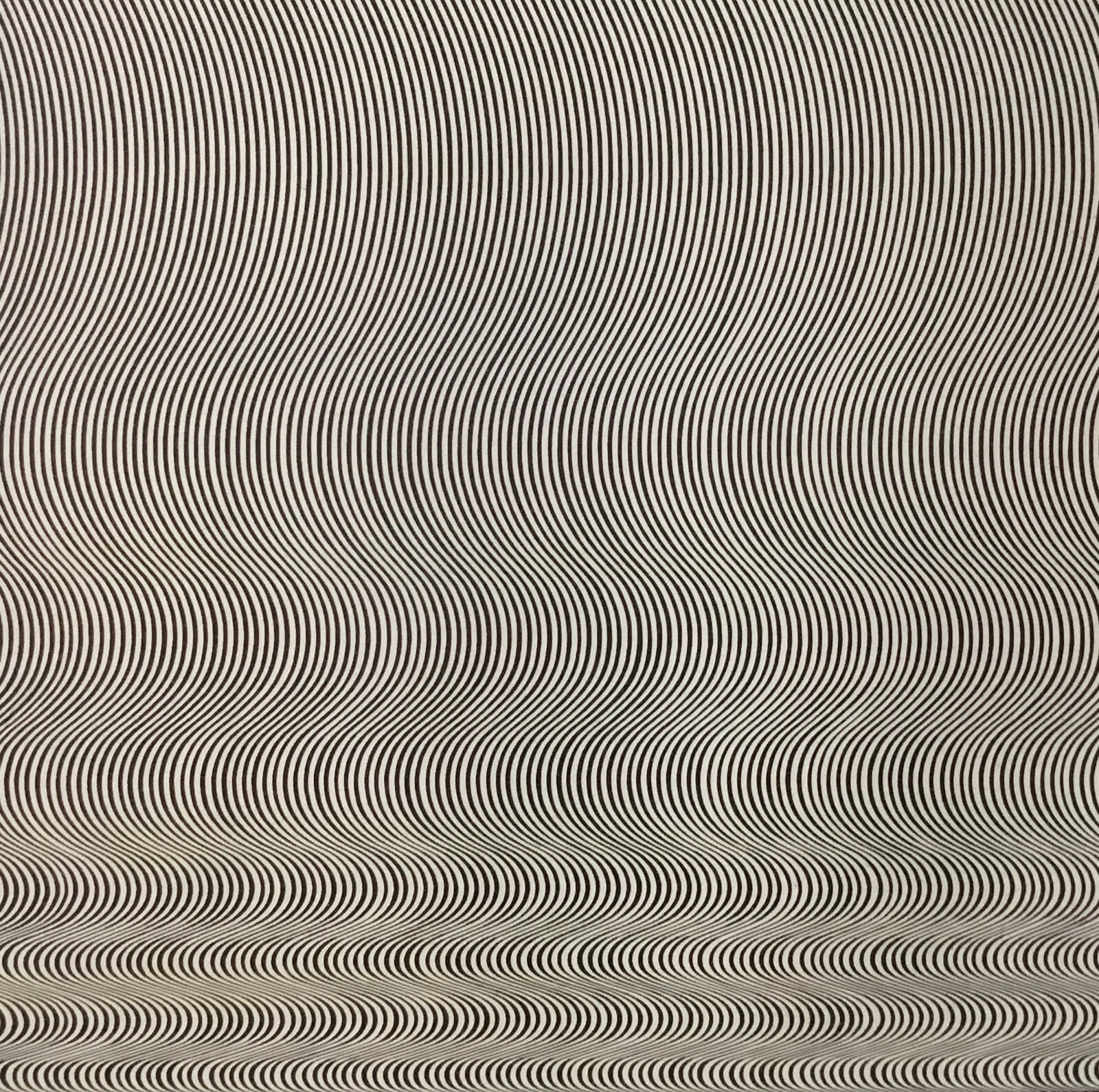 Bridget Riley Fall Custom Framed Print | eBay UK