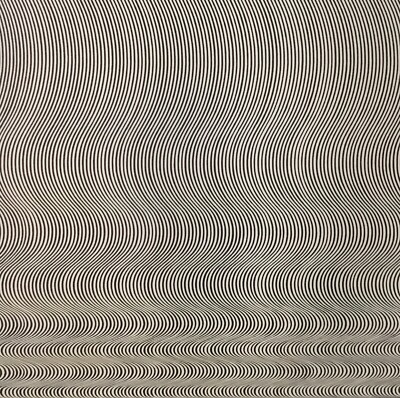 Bridget Riley Fall