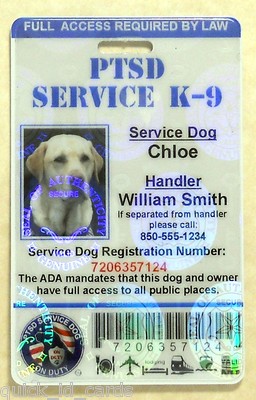HOLOGRAPHIC PTSD SERVICE DOG ID CARD ASSISTANCE ANIMAL ID BADGE ADA TAG ...
