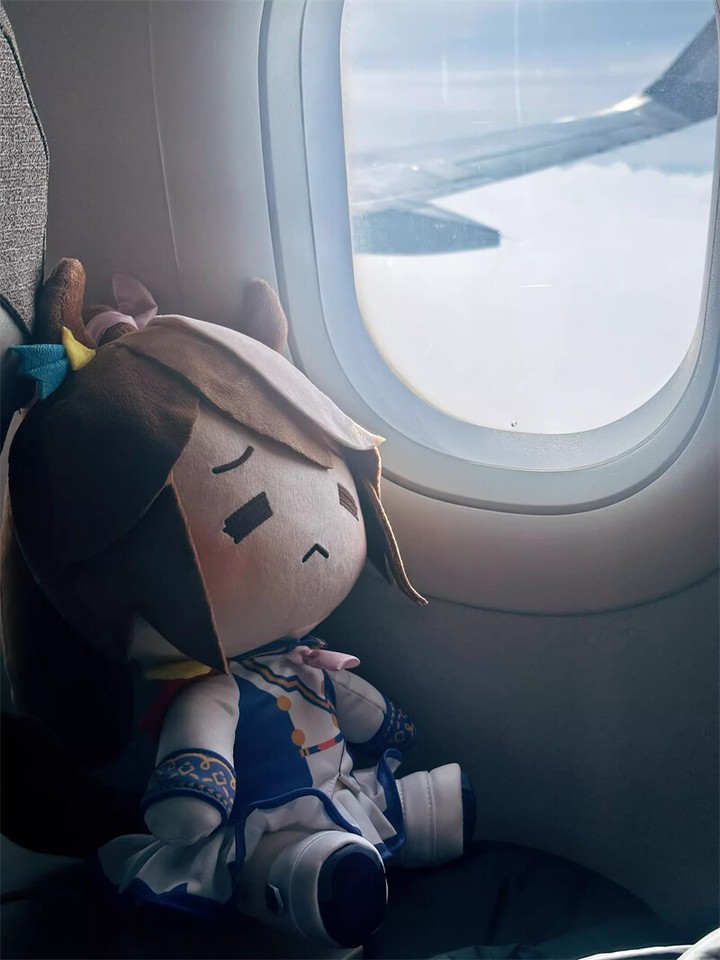 Umamusume: Pretty Derby Tokai Teio Plush Doll Stuffed Toy 30cm Plushie ...