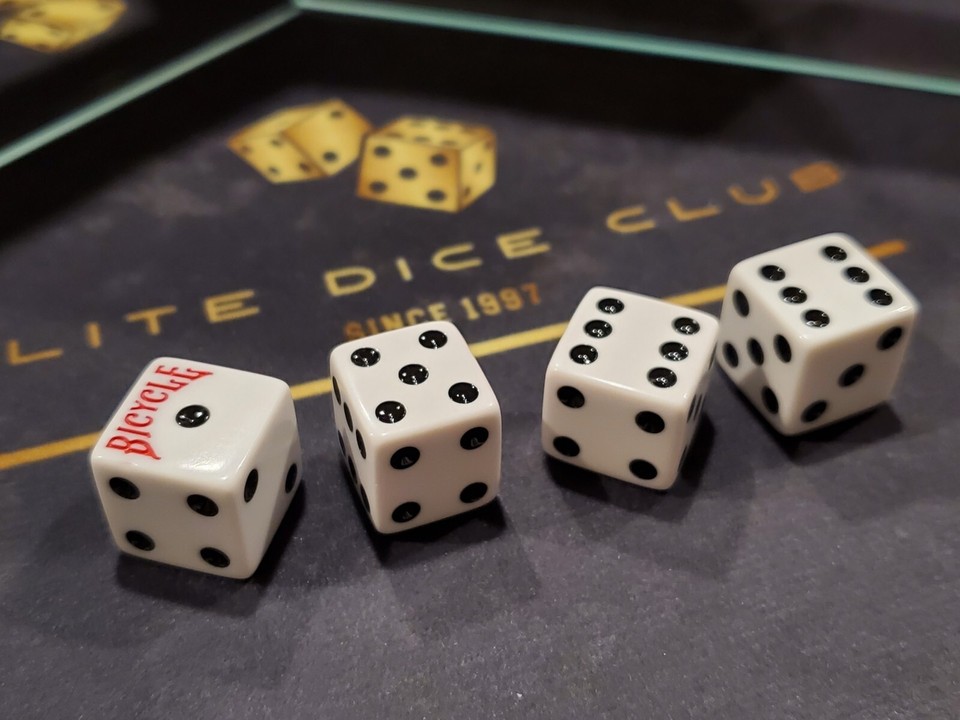 Loaded Dice Trick Dice Gaffed Dice Magic Dice Weighted Dice (6-ace ...