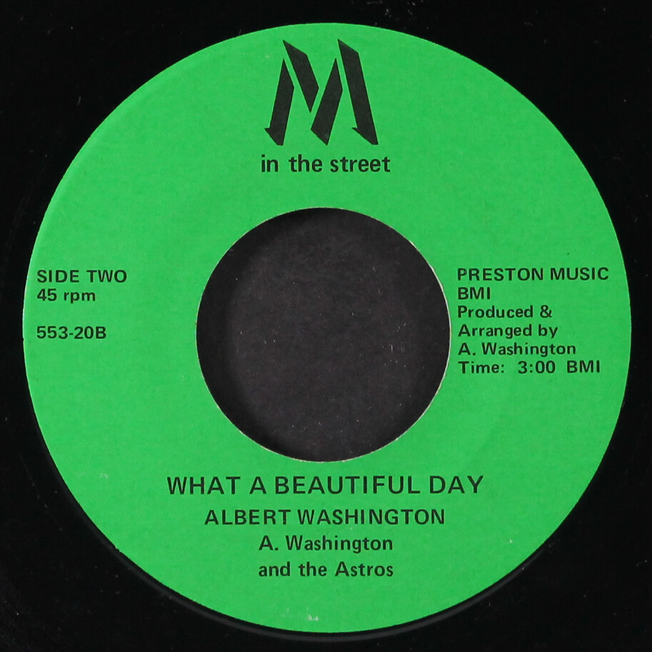 ALBERT WASHINGTON: ninety nine pair shoes / what a beautiful day M IN ...