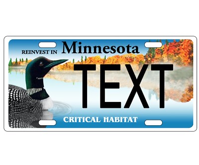 Custom, Personalized, Standard Size Novelty State License Plate ...